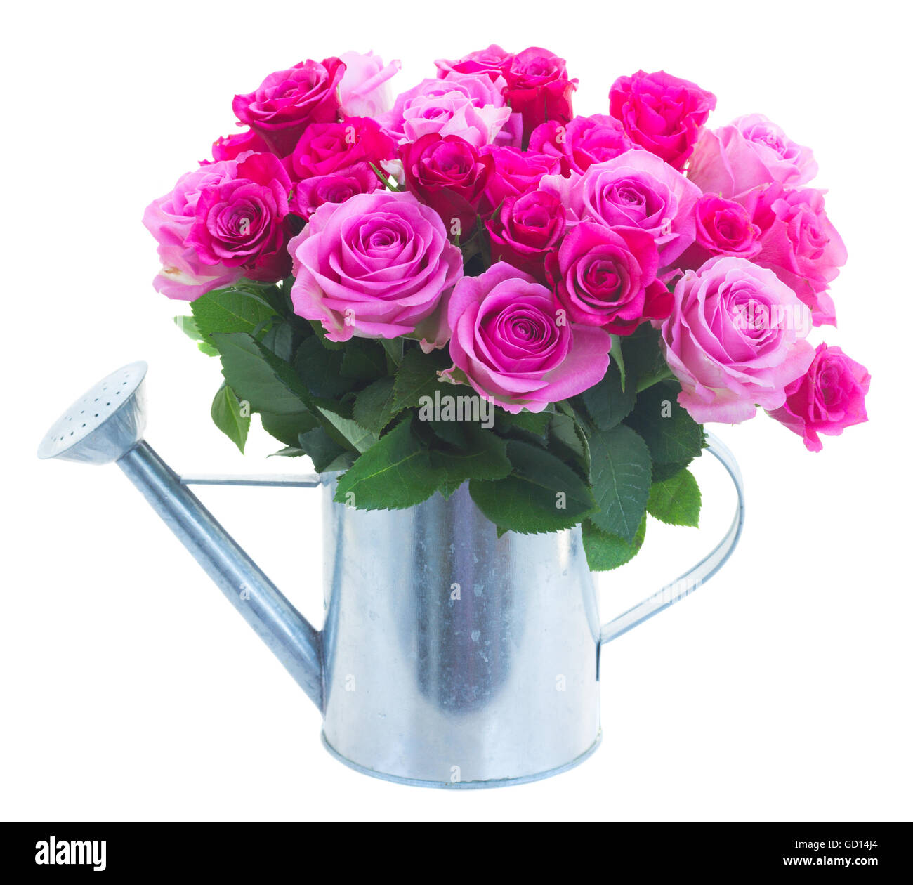 bouquet of fresh pink roses Stock Photo - Alamy