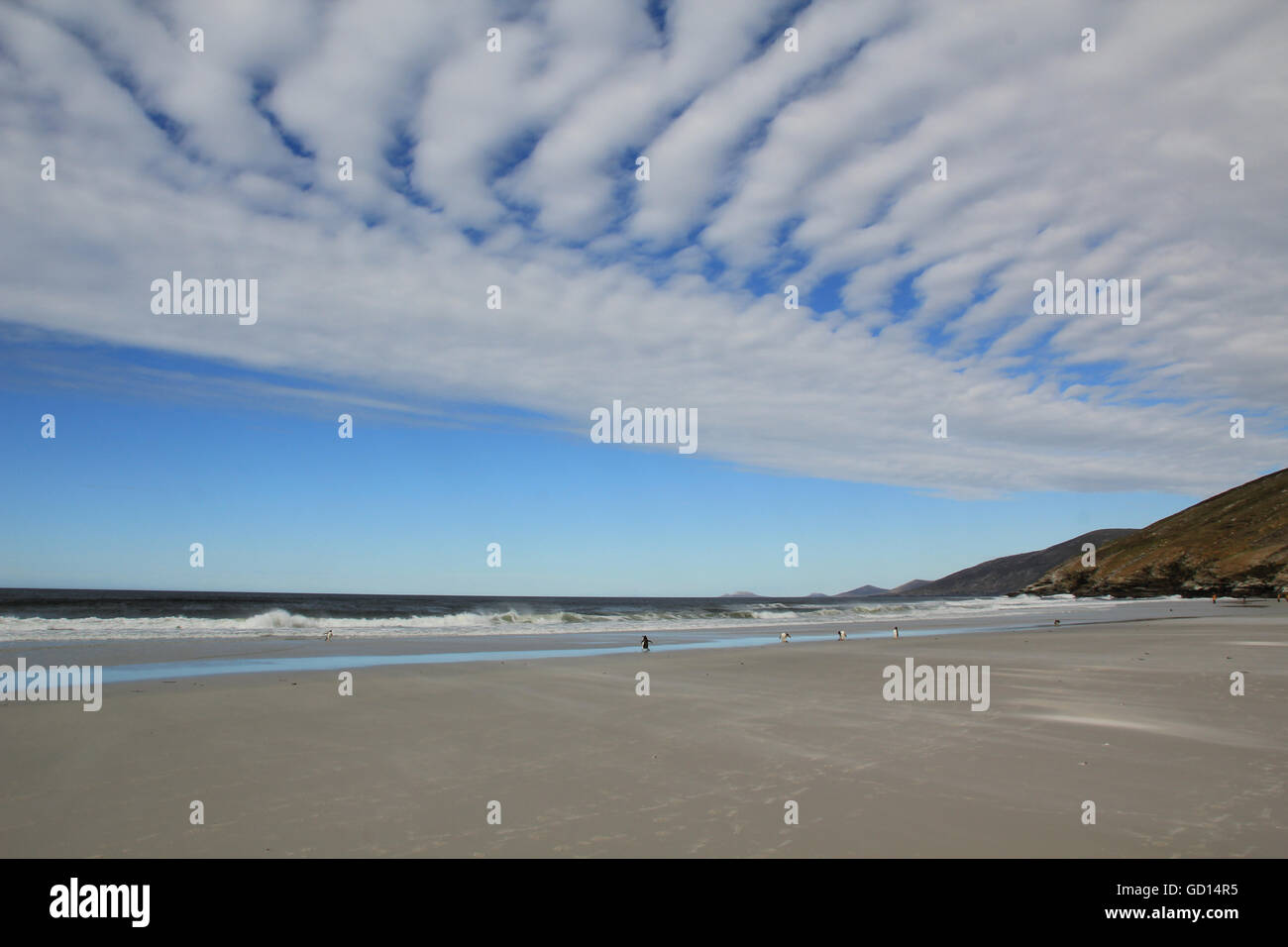The clouds and beach of Saunders Point, Falkland islands Stock Photo ...