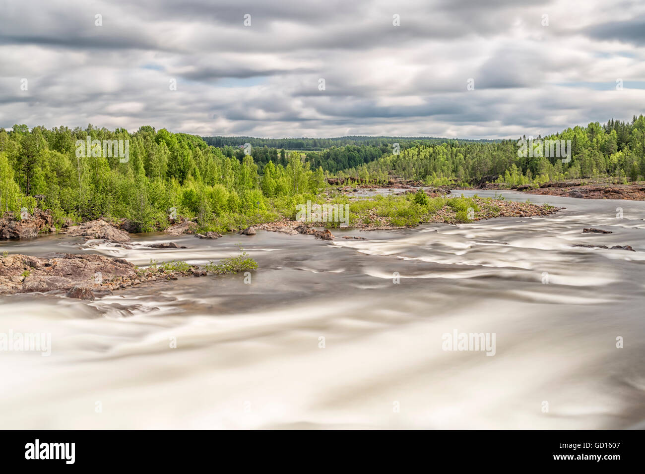 Stornorrfors, Umea River in Sweden with forest and a cloudy sky Stock ...