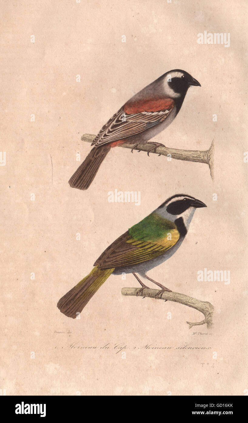 Silencieux hi-res stock photography and images - Alamy