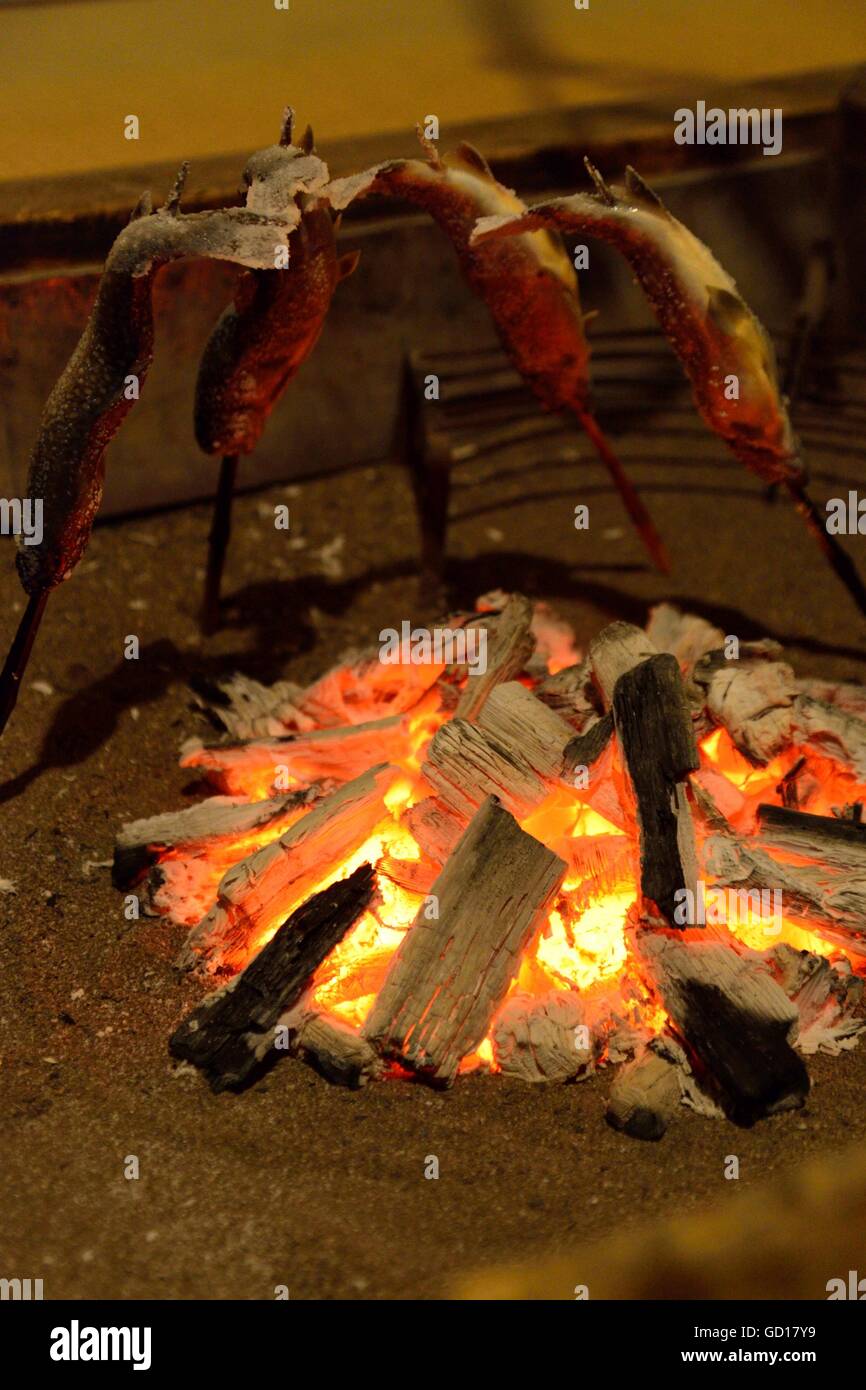 Four fishes on sticks being grilled at irori (Japanese earthen ...