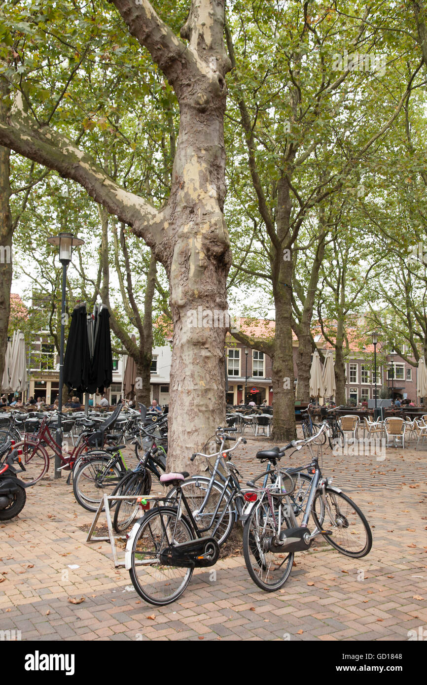 Cafe Table and Chairs with Bicycles; Beestenmarkt - Market Square ...