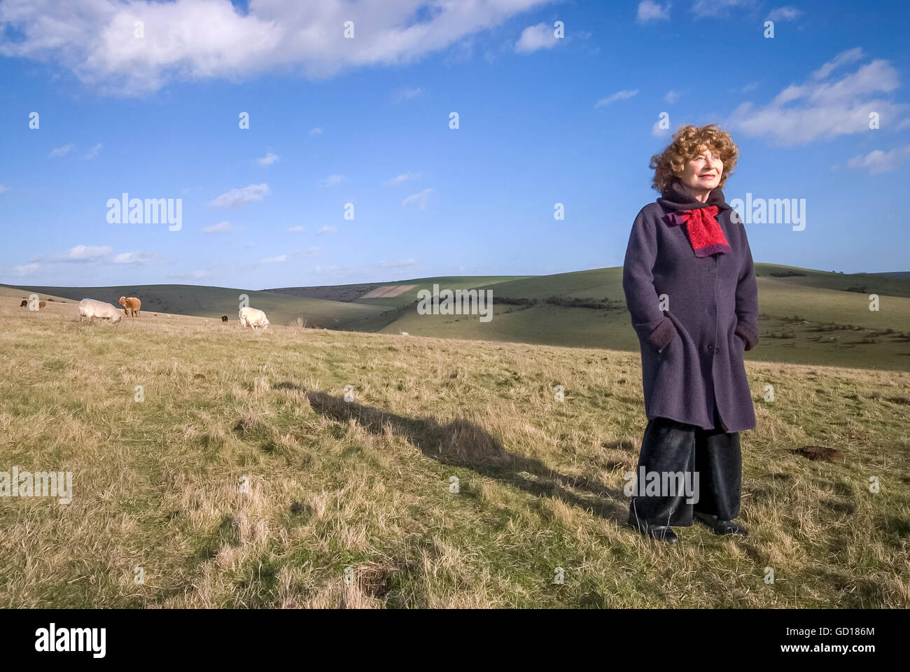 Shirley collins singer hi-res stock photography and images - Alamy