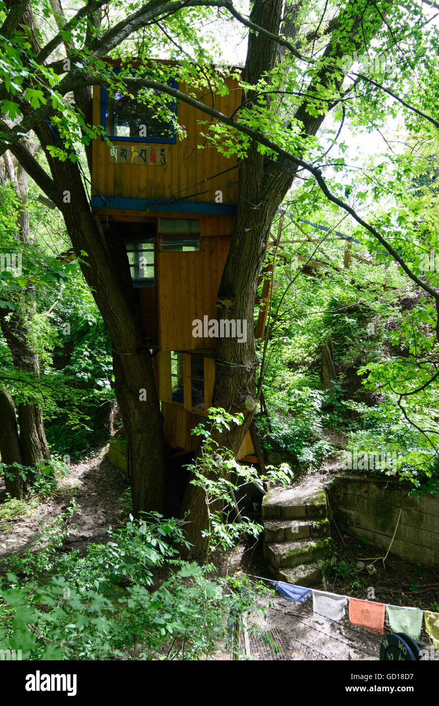Treehouse in schreiberbachtal hi-res stock photography and images - Alamy