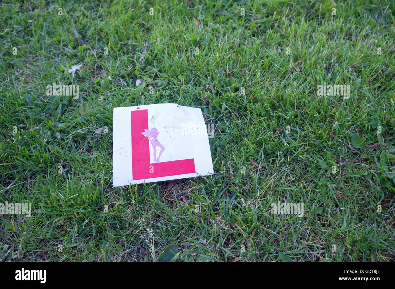 L plate for hen do Stock Photo - Alamy