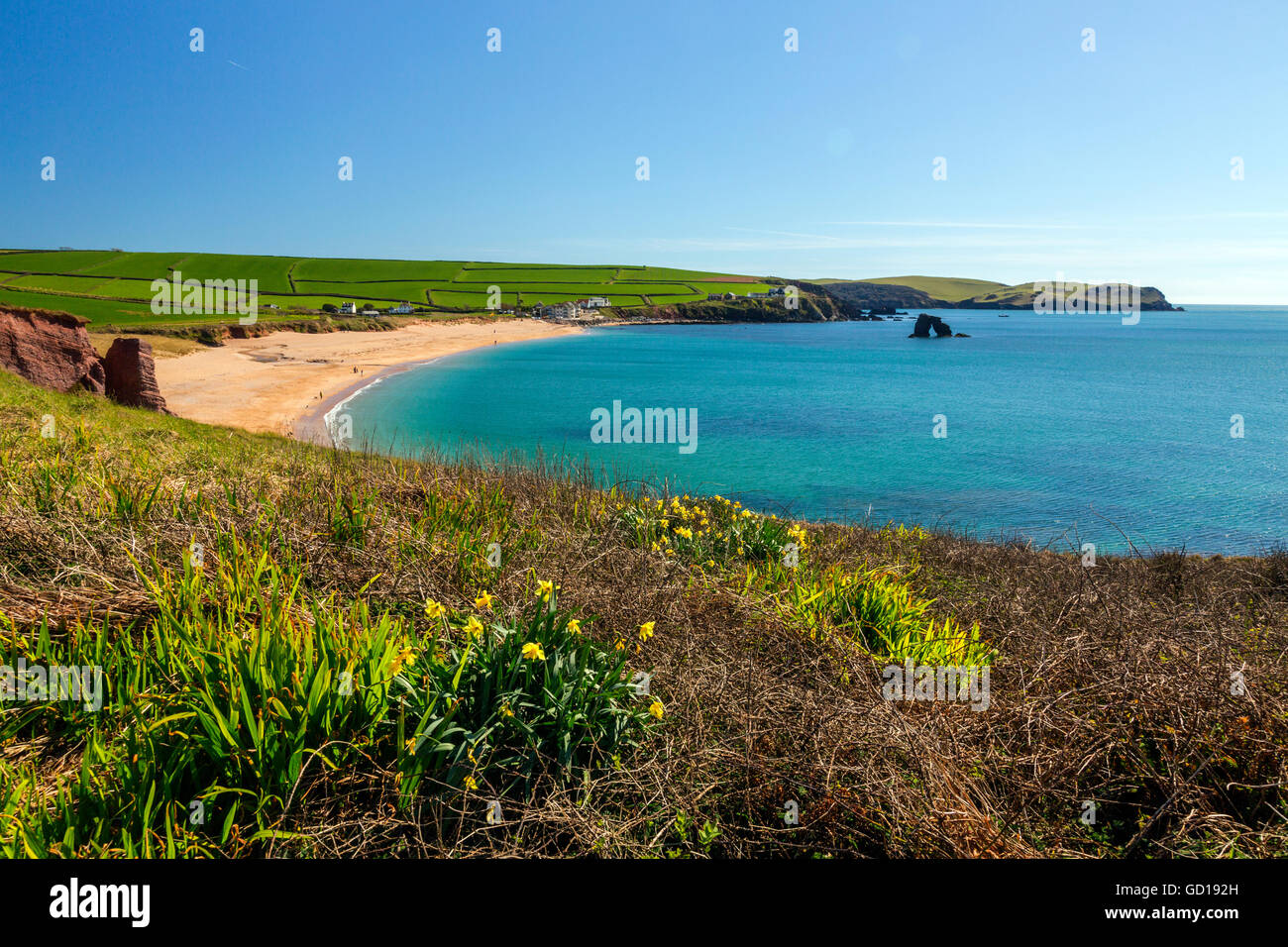 Thurlestone Sand and Rock, Devon, England, UK Stock Photo - Alamy