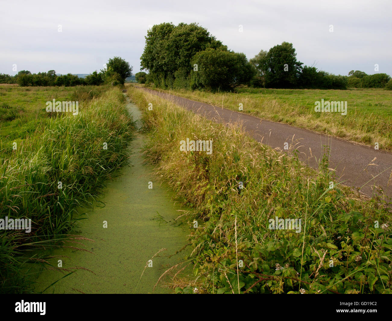 Narrow flood plains hi-res stock photography and images - Alamy