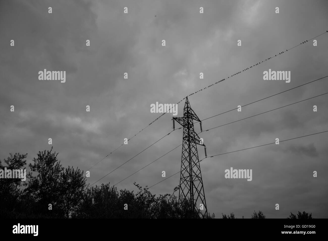 Pylons wire Black and White Stock Photos & Images - Alamy