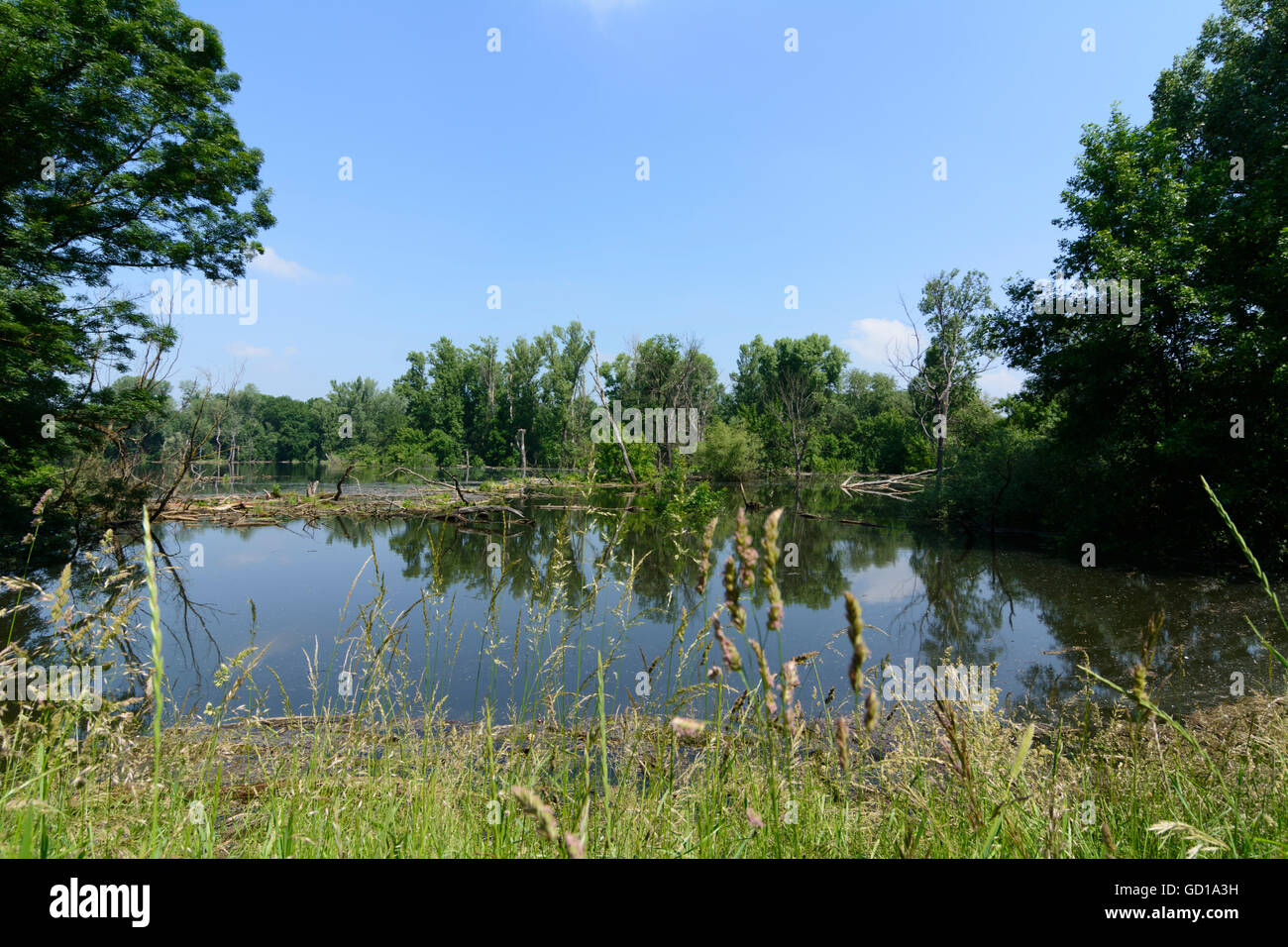 March river hi-res stock photography and images - Alamy