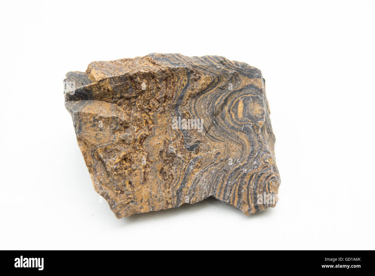 Stromatolites hi-res stock photography and images - Alamy
