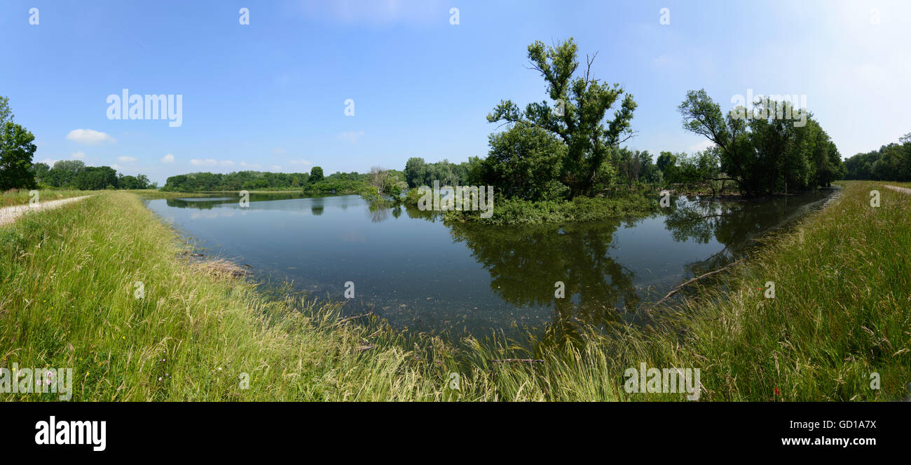 Marchegg: Flood of river March, March wetlands, Austria ...
