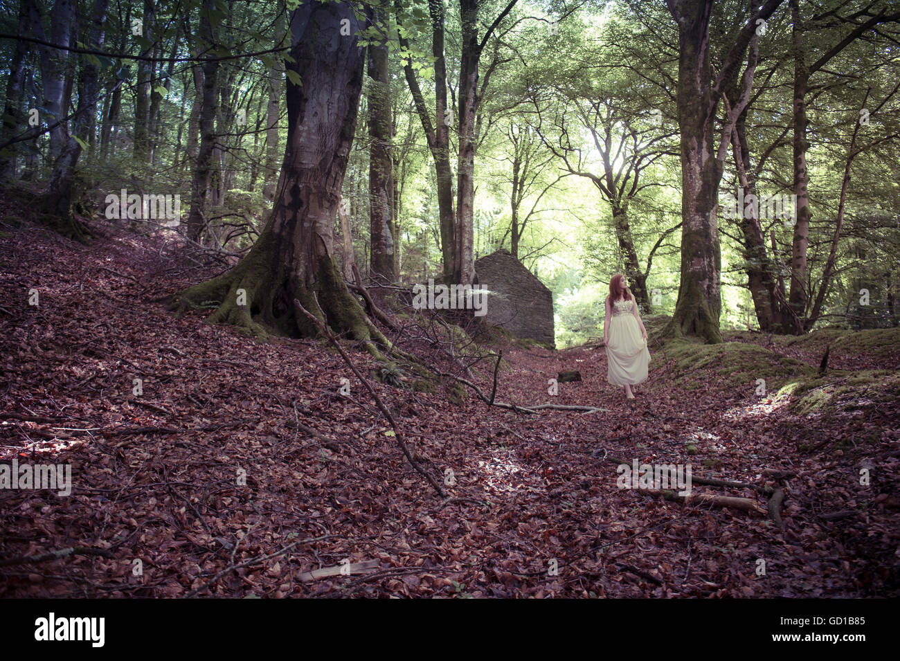 Woodland Fantasy Photography A Young Red Haired Redhead Woman Girl Wearing A Long Flowing Dress