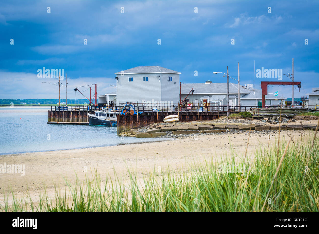 Grasses and buildings along Hampton Harbor, in Hampton Beach, New ...