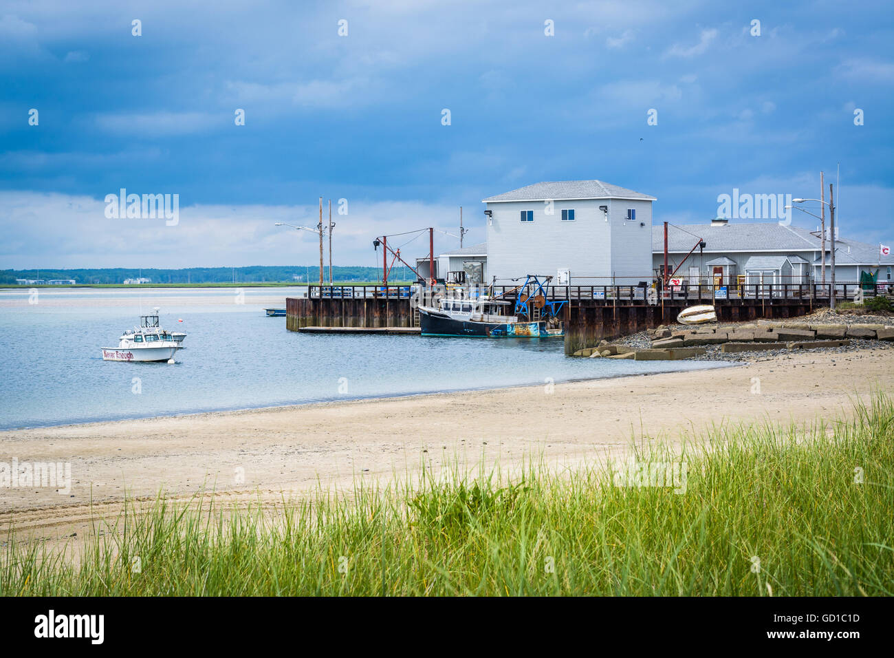 Grasses and buildings along Hampton Harbor, in Hampton Beach, New ...