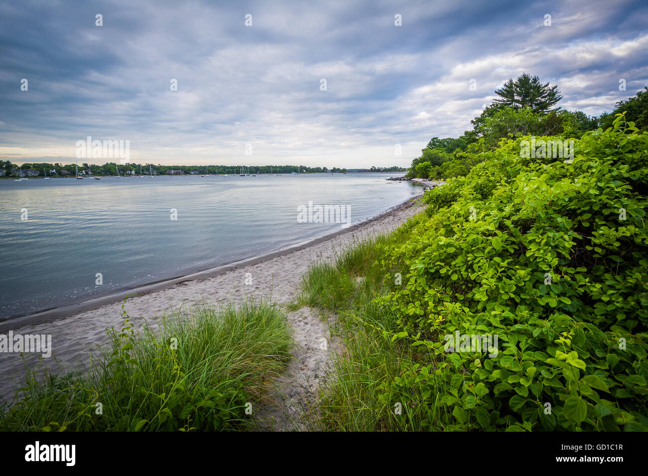 Odiorne state park hi-res stock photography and images - Alamy
