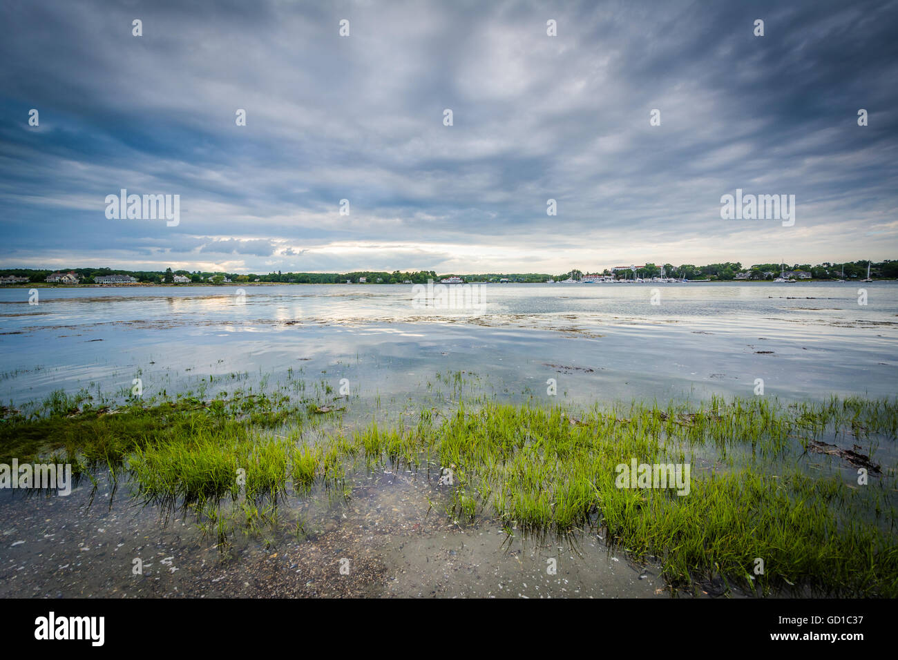 Marsh at Odiorne Point State Park, in Rye, New Hampshire Stock Photo ...