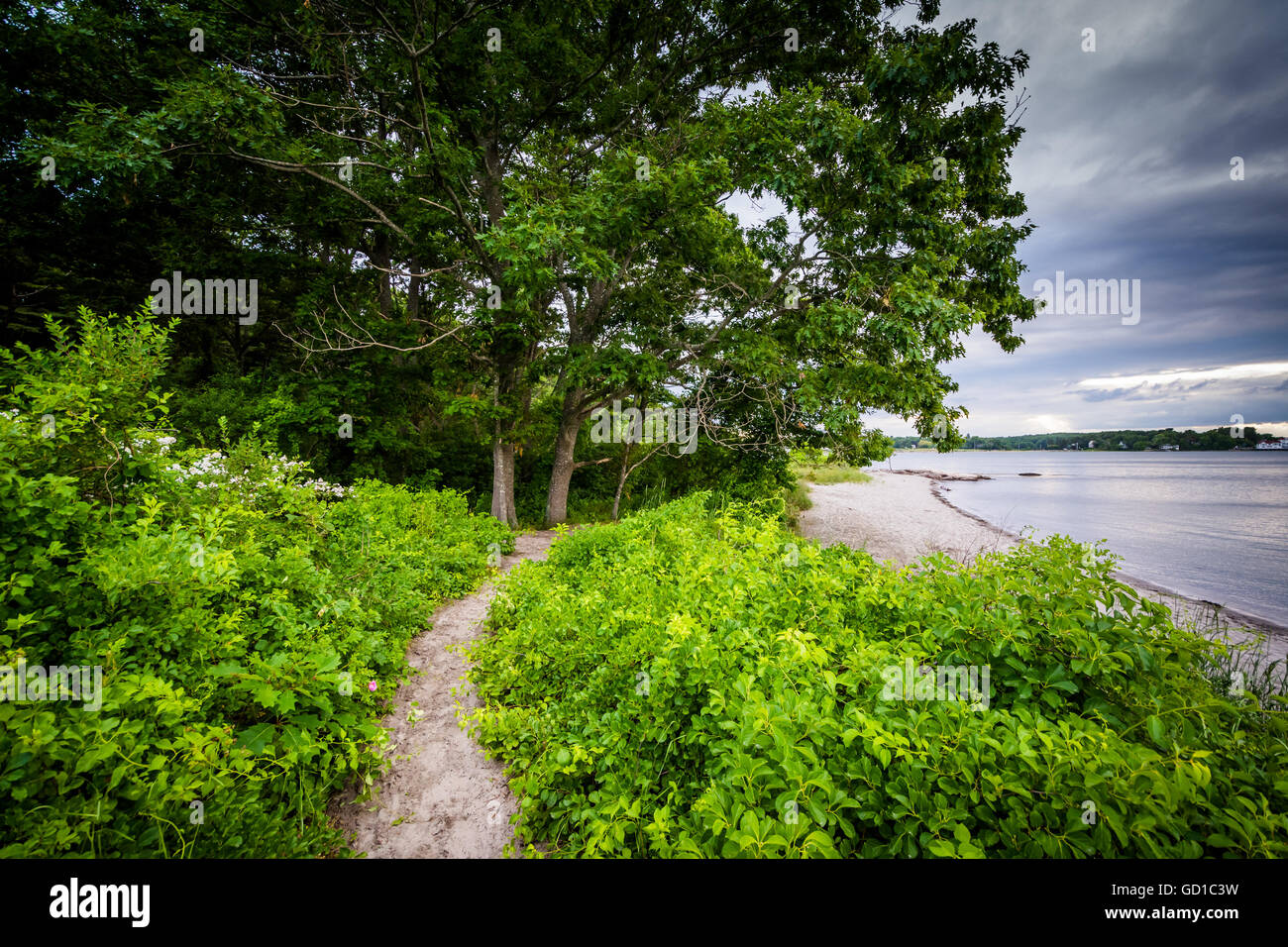 Narrow trail and coast at Odiorne Point State Park, in Rye, New ...
