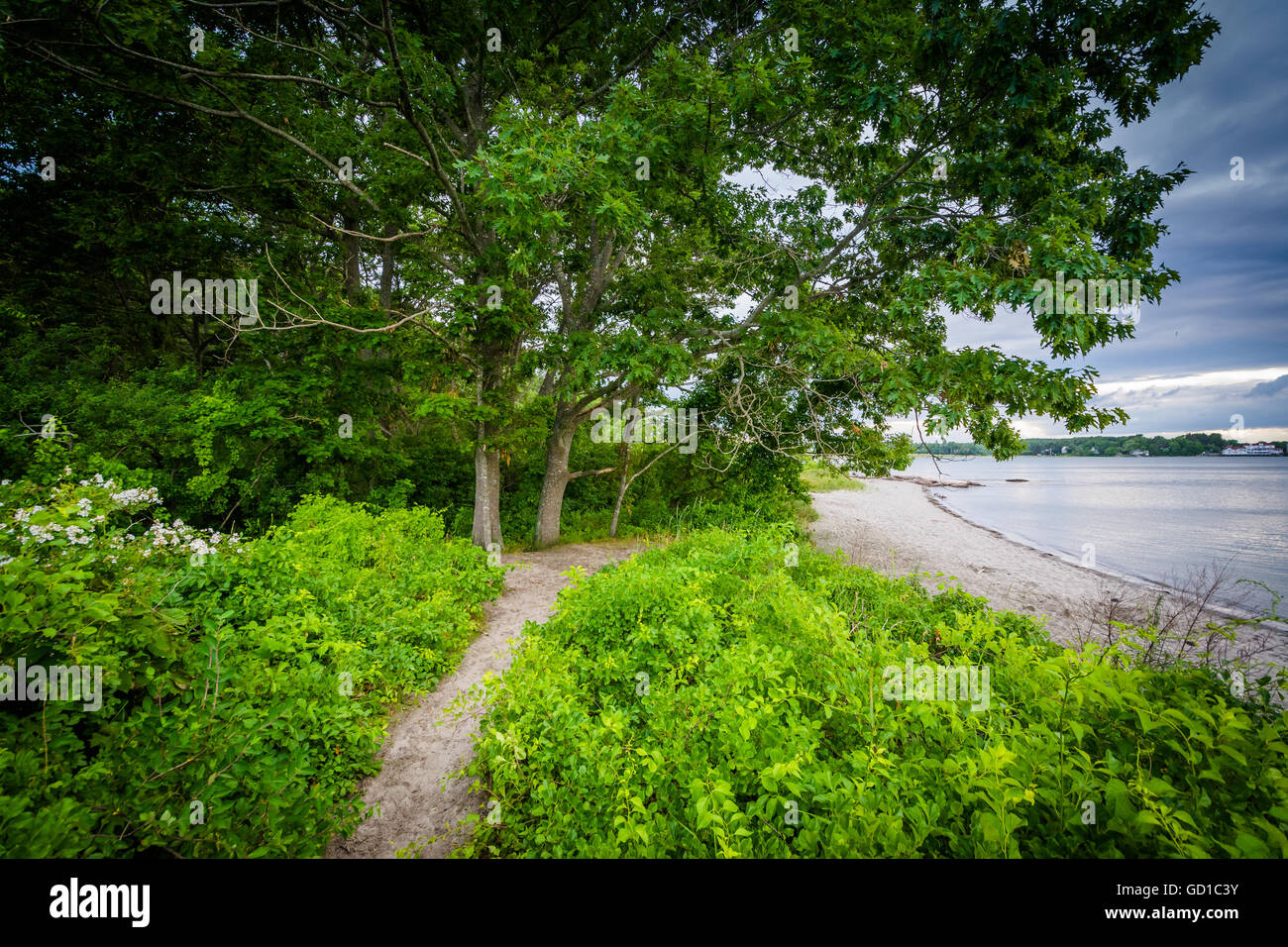Narrow trail and coast at Odiorne Point State Park, in Rye, New ...