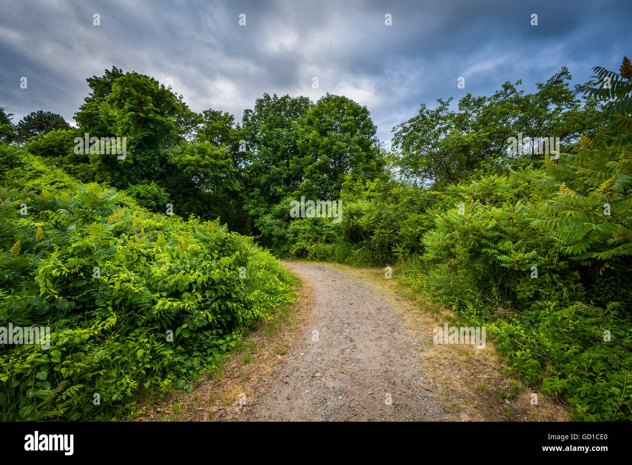 Trail at Odiorne Point State Park, in Rye, New Hampshire Stock Photo ...