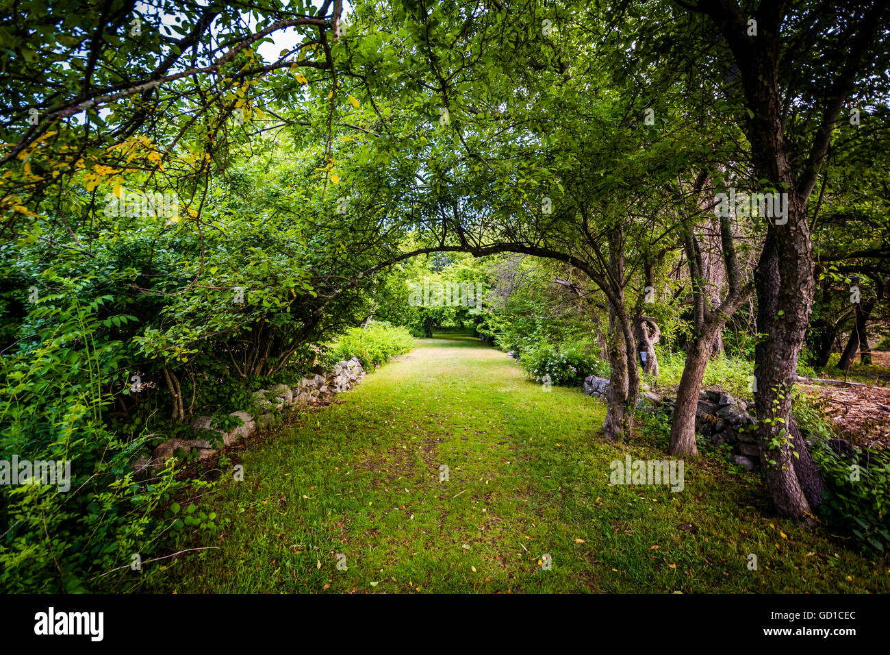 Trail at Odiorne Point State Park, in Rye, New Hampshire Stock Photo ...
