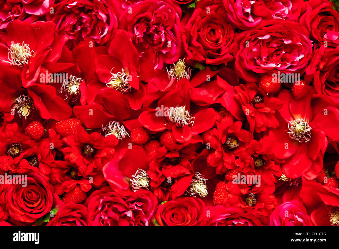 Red color flowers hi-res stock photography and images - Alamy