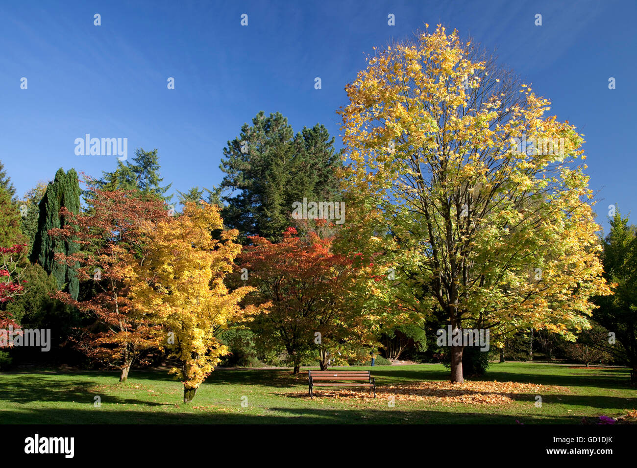 Romberg botanical garden hi-res stock photography and images - Alamy