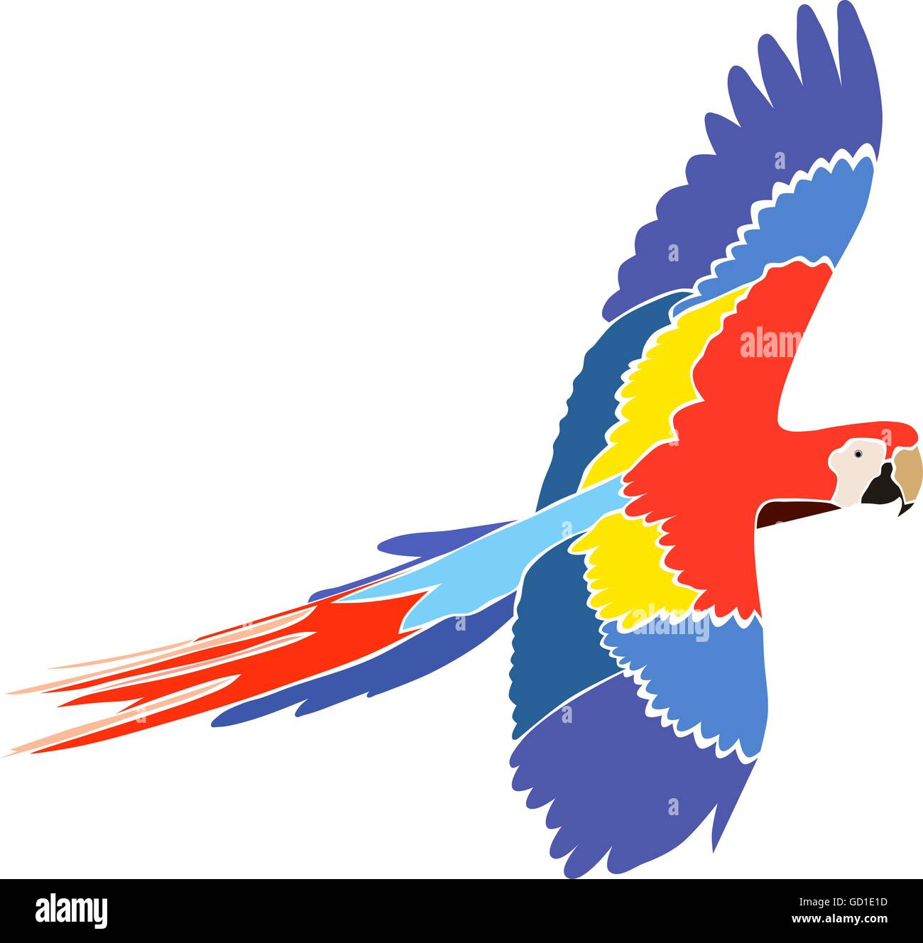 Colourful parrots Stock Vector Images - Alamy