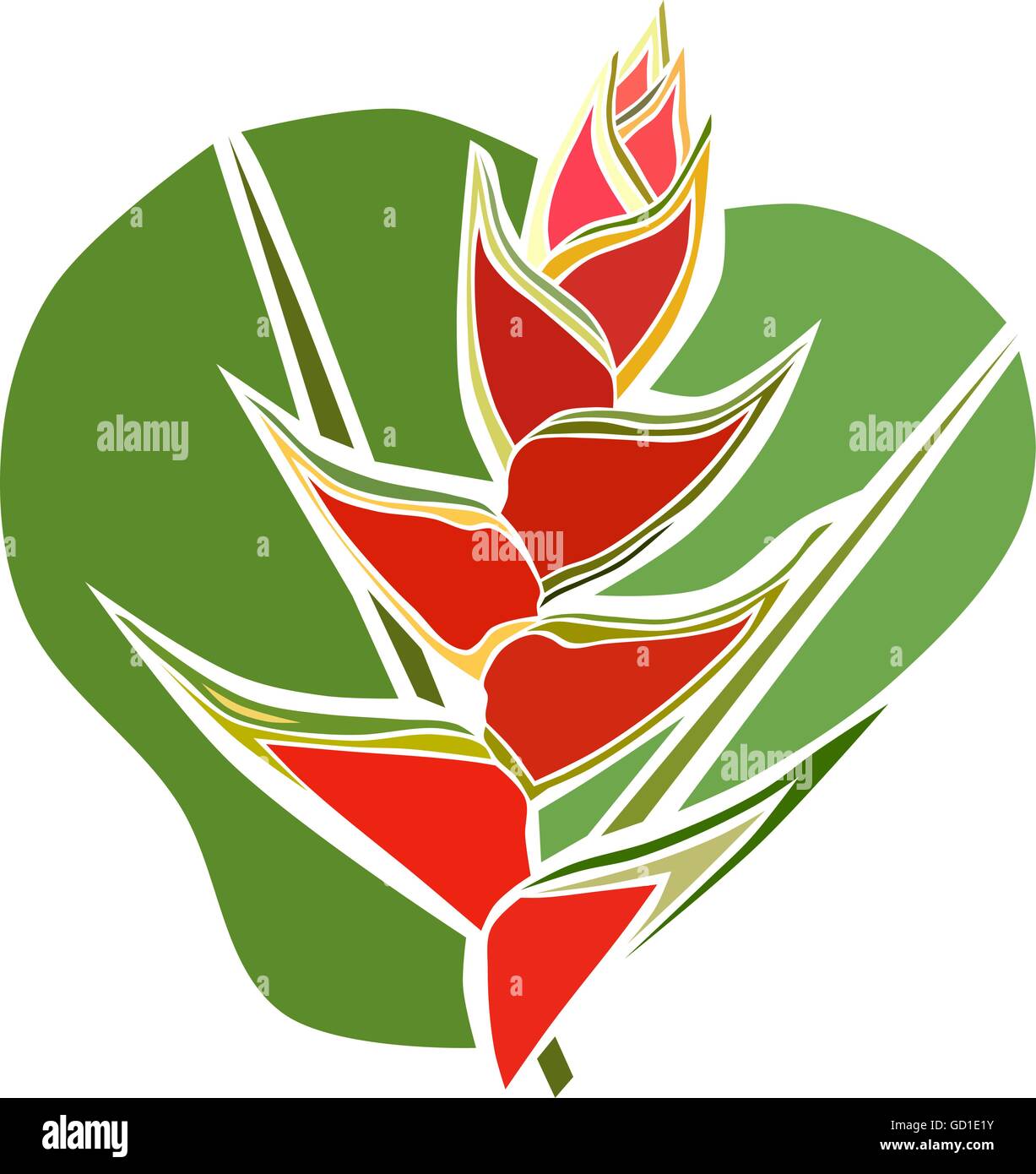 Tropical flower heliconia, isolated vector Stock Vector Image & Art - Alamy