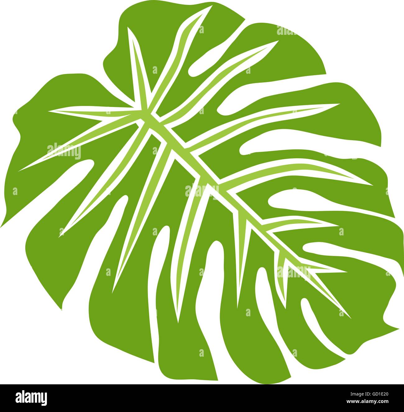 Tropical plant philodendron, isolated vector Stock Vector Image & Art ...