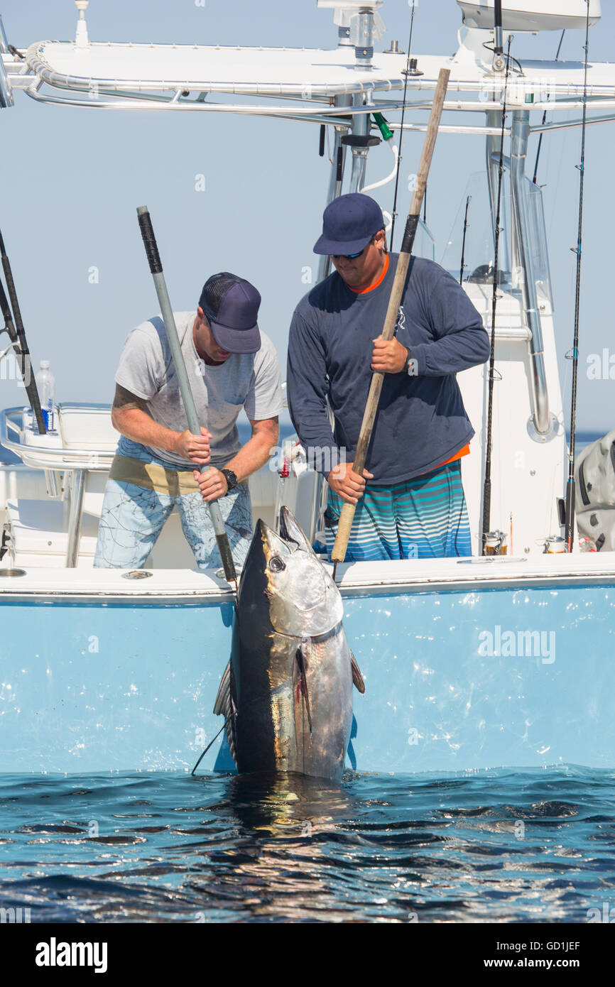 Tuna tuna fishing boat hi-res stock photography and images - Alamy