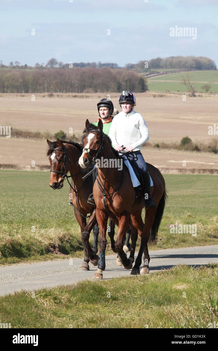 Kiplingcotes hi-res stock photography and images - Alamy