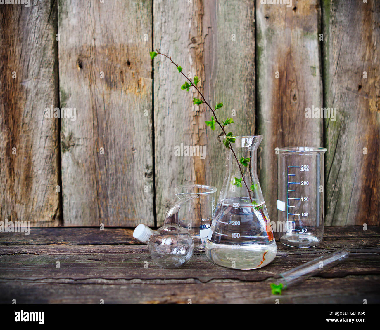 Green plants in laboratory equipment on rustic wooden background Stock ...
