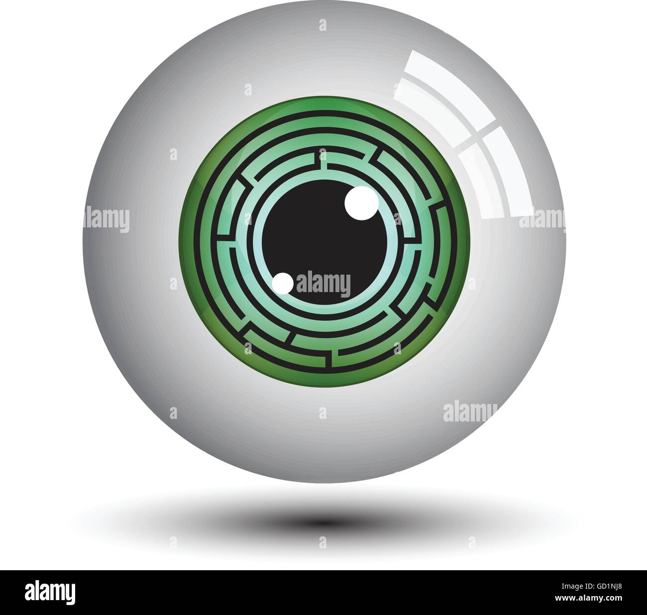 Detailed vector illustration of the human eyeball anatomy with iris hi ...