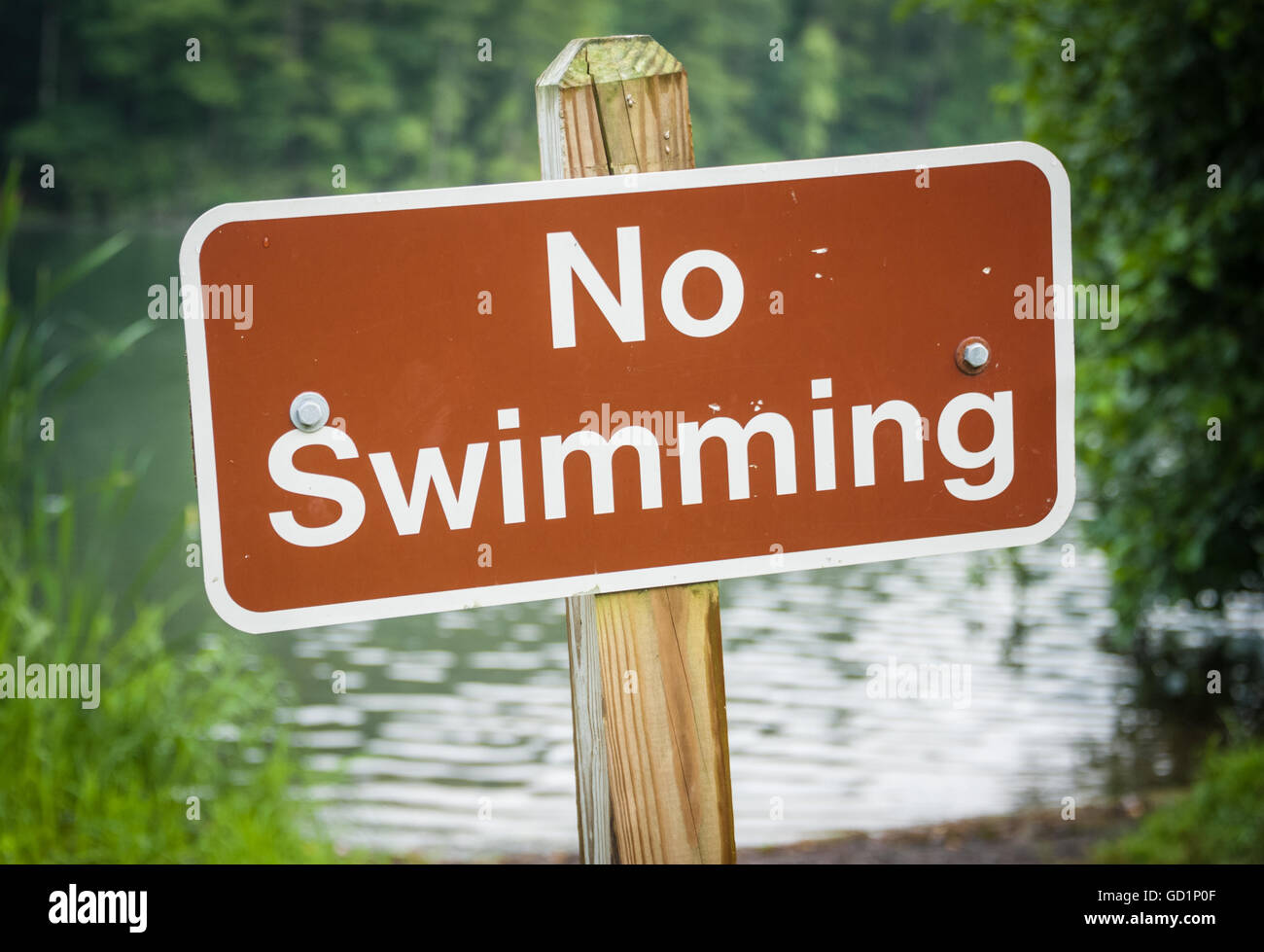 "No Swimming" sign posted next to a lake Stock Photo - Alamy