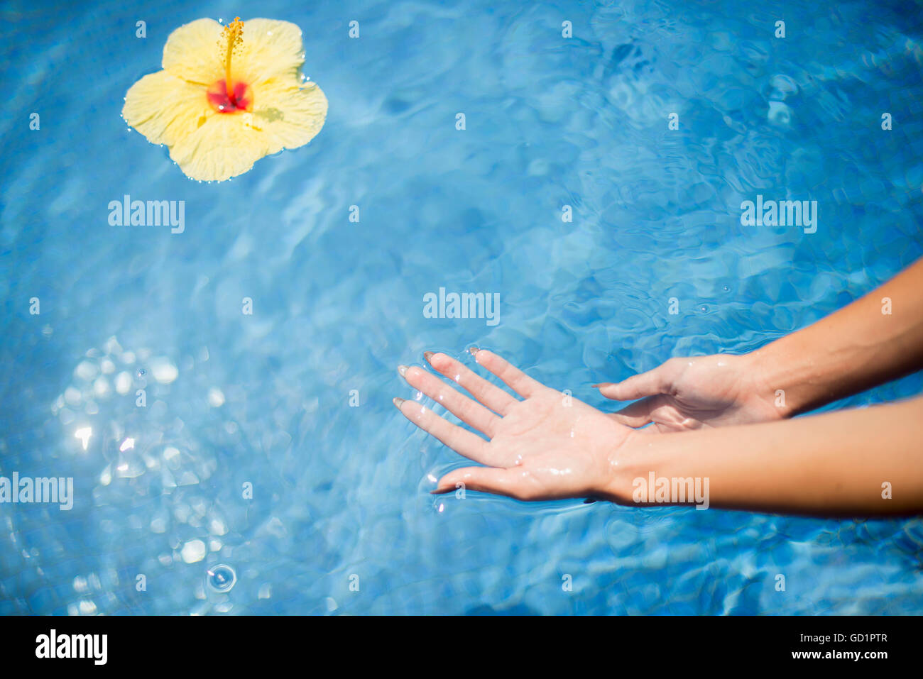 Dipping hands in the water with a floating flower; Island of Hawaii ...