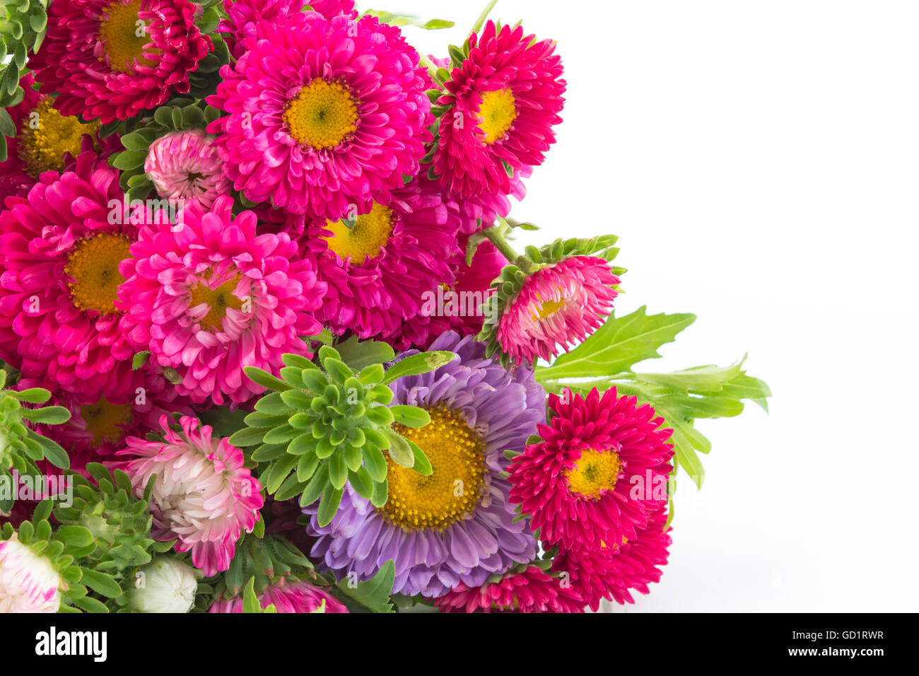 Aster bouquet hi-res stock photography and images - Alamy