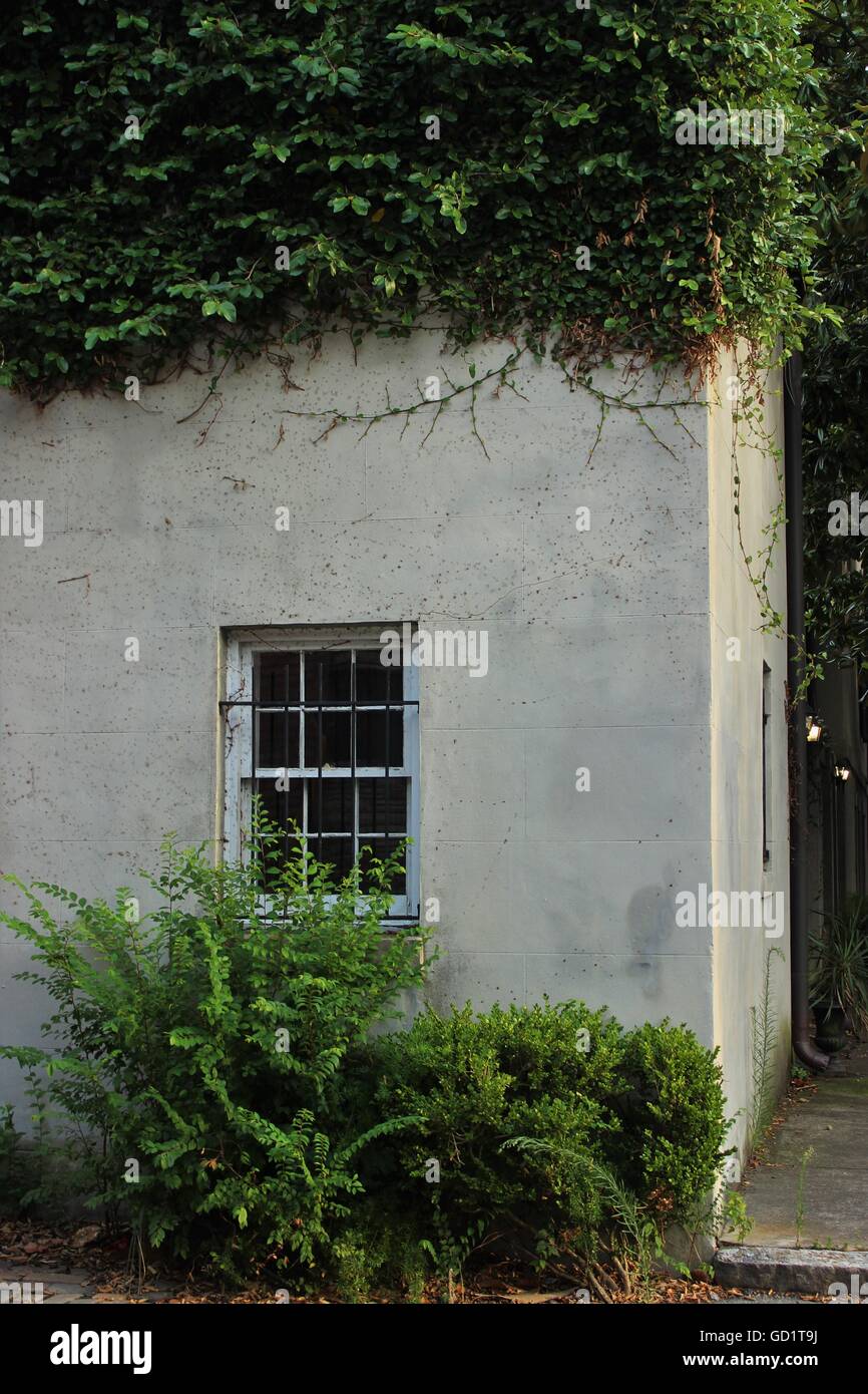 Building Covered Vines High Resolution Stock Photography and Images - Alamy