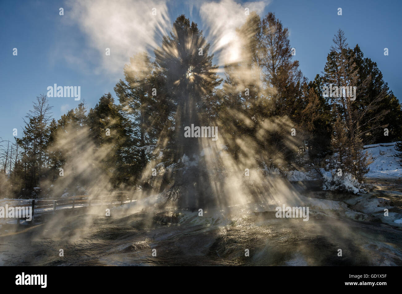 Sun slanting through the trees hi-res stock photography and images - Alamy