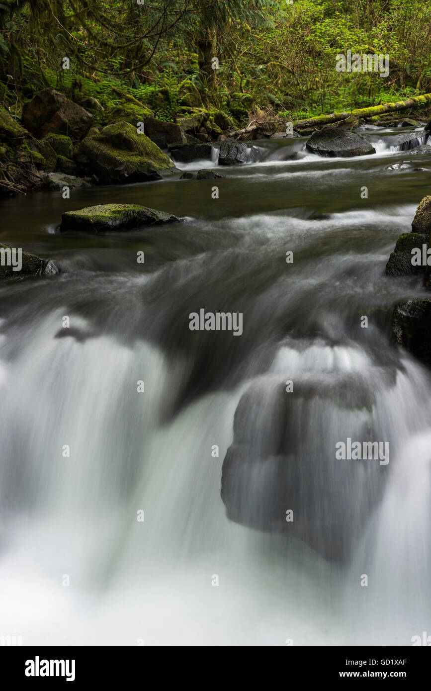 Fishhawk Creek cascades over the rocks; Jewell, Oregon, United States ...