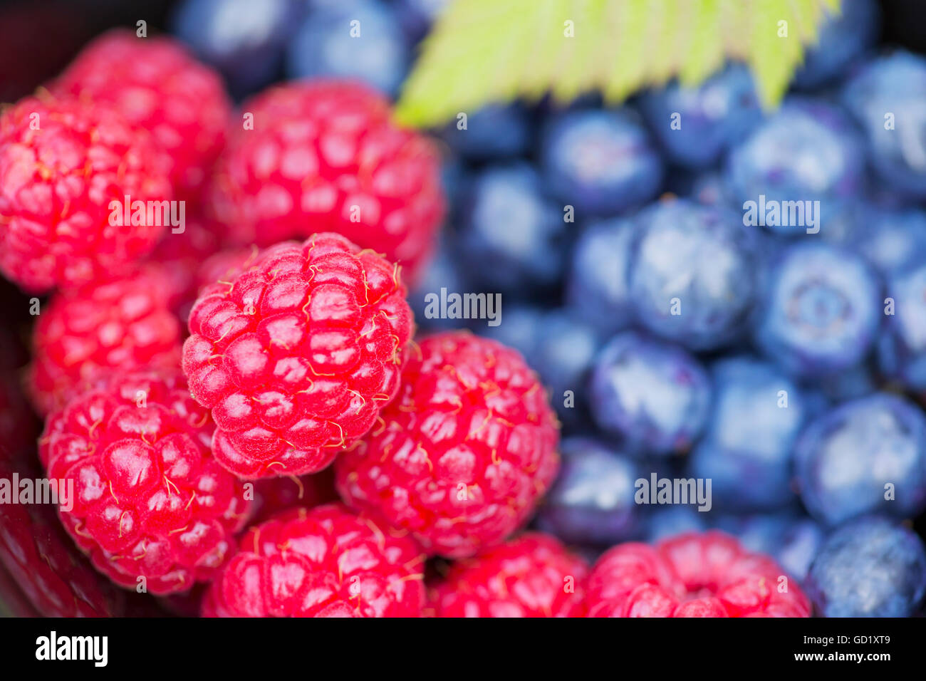 Alaska raspberries hi-res stock photography and images - Alamy