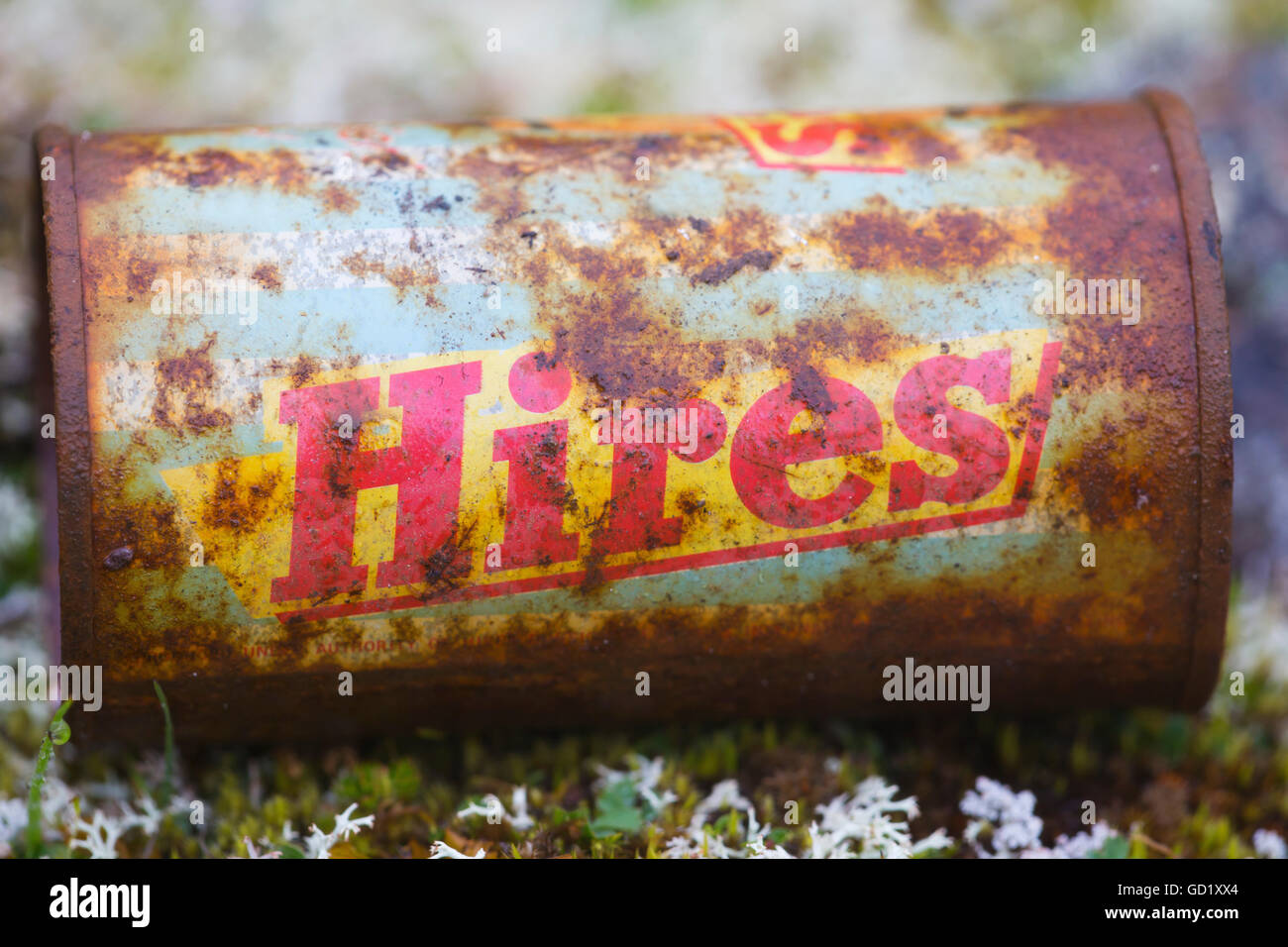 Old rusty trash can hi-res stock photography and images - Alamy