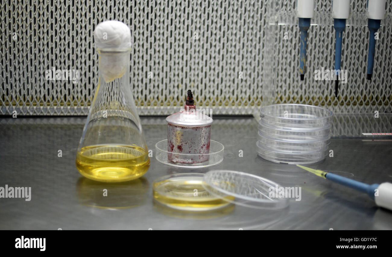 Stock Photo - Analysis Laboratory Stock Photo - Alamy