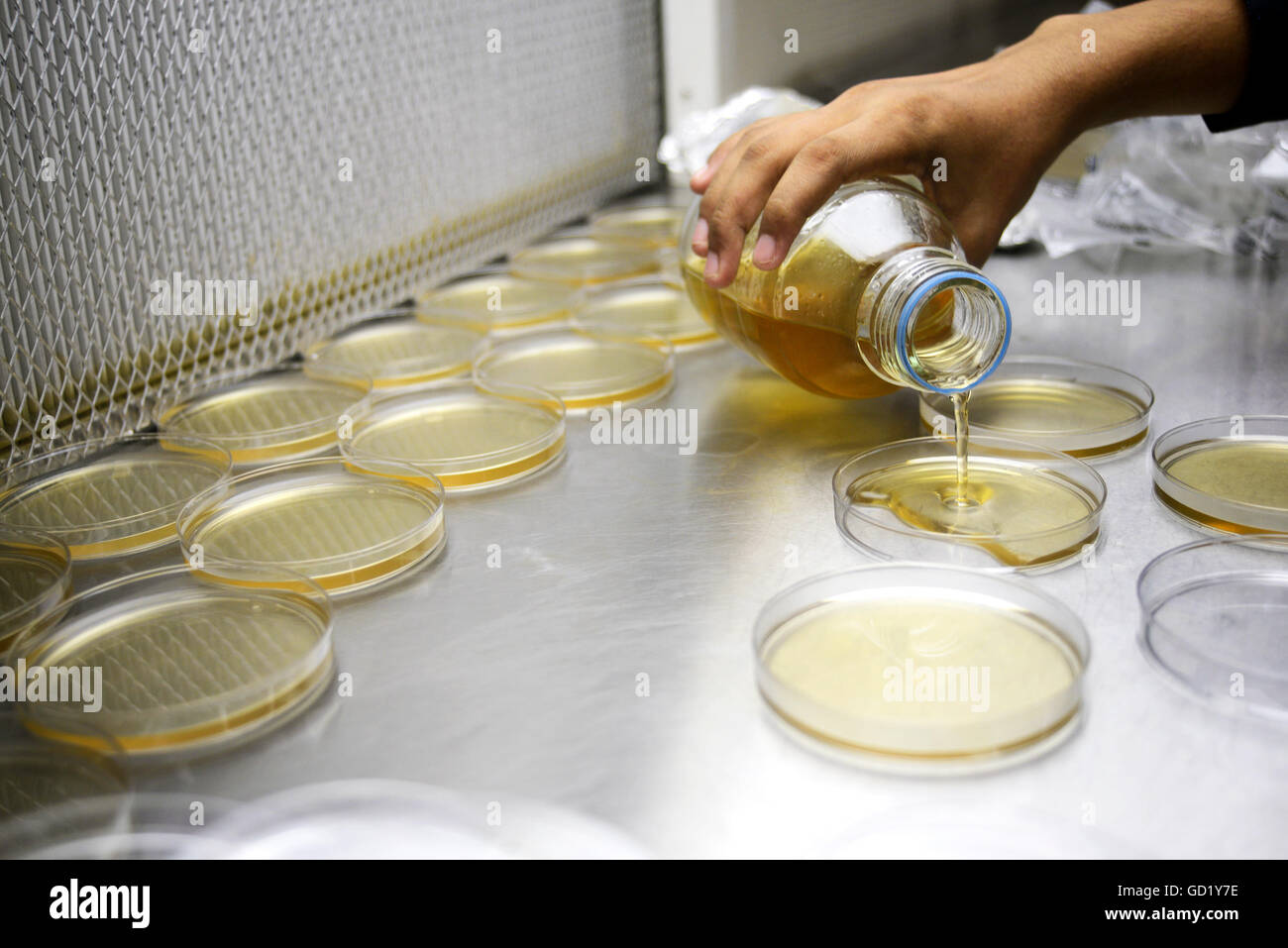 student doing an experiment in Science Lab Stock Photo - Alamy