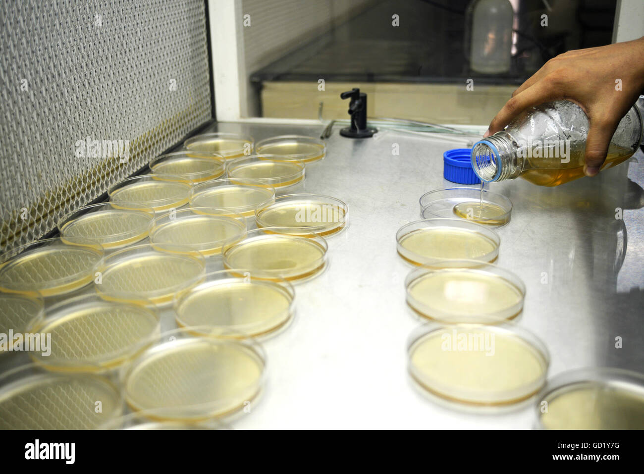 student doing an experiment in Science Lab Stock Photo - Alamy