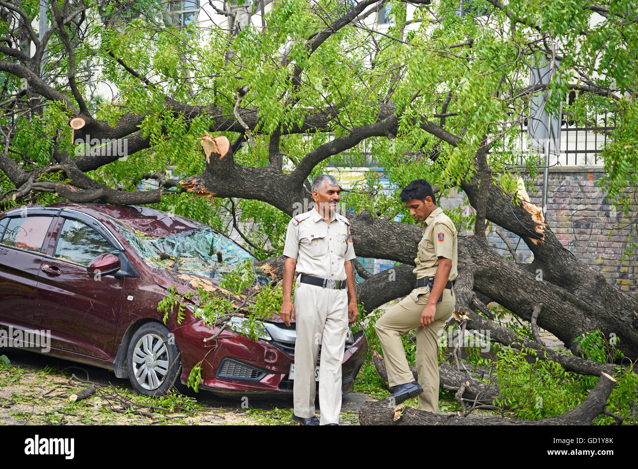 Storm crushed the car Stock Photo - Alamy
