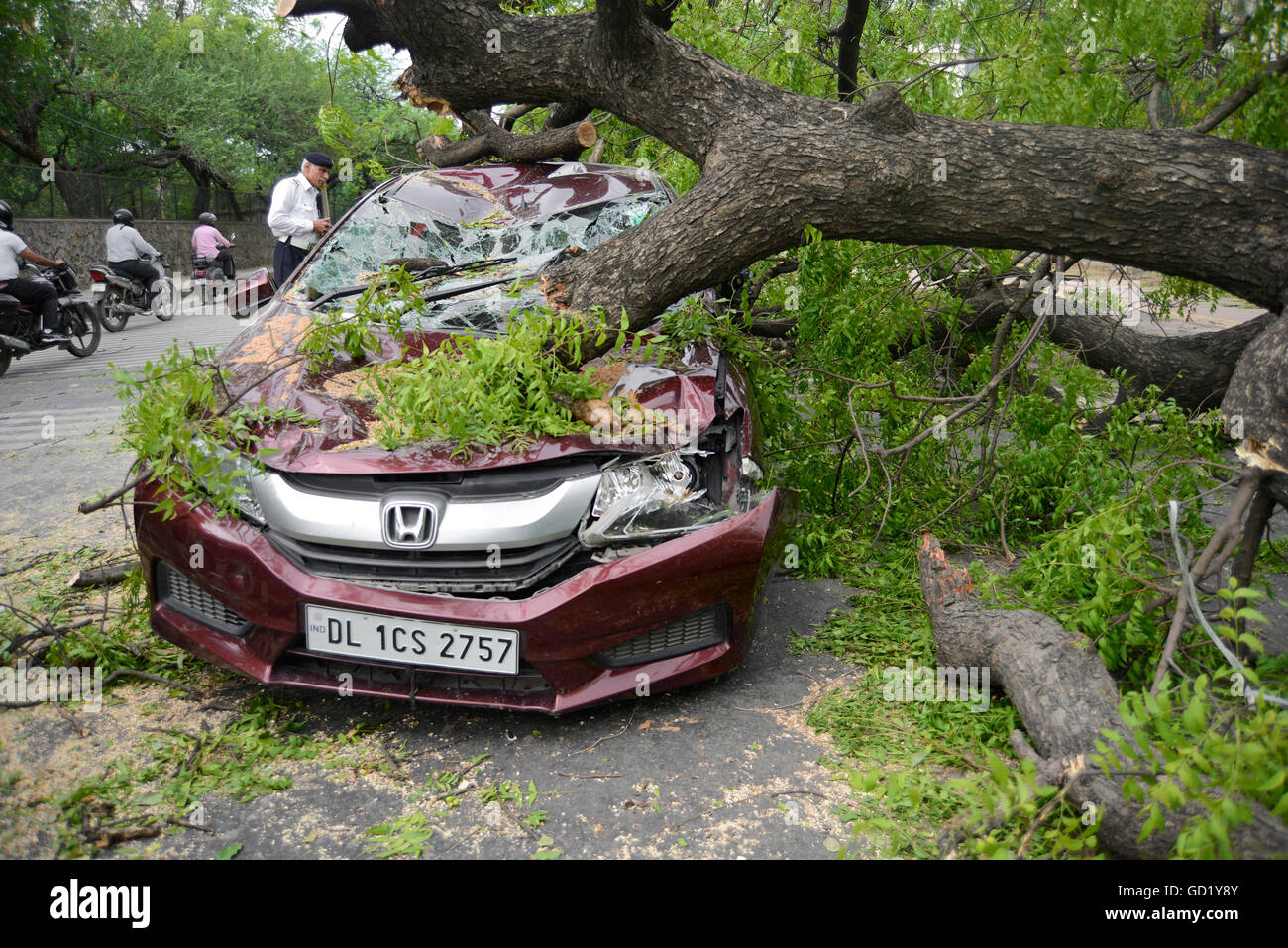 Storm crushed car Stock Photo - Alamy