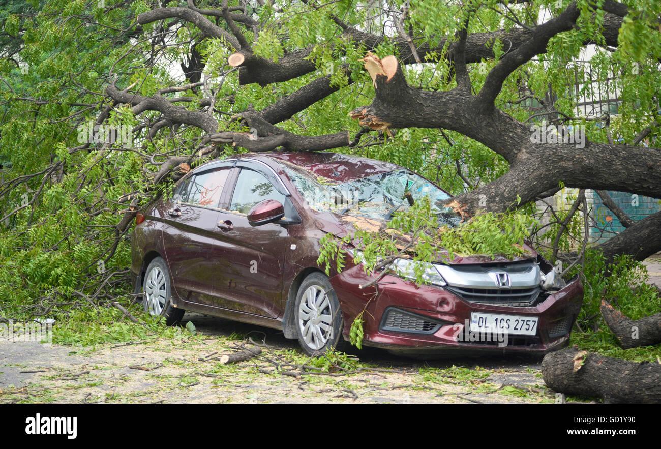 Storm crushed car Stock Photo - Alamy