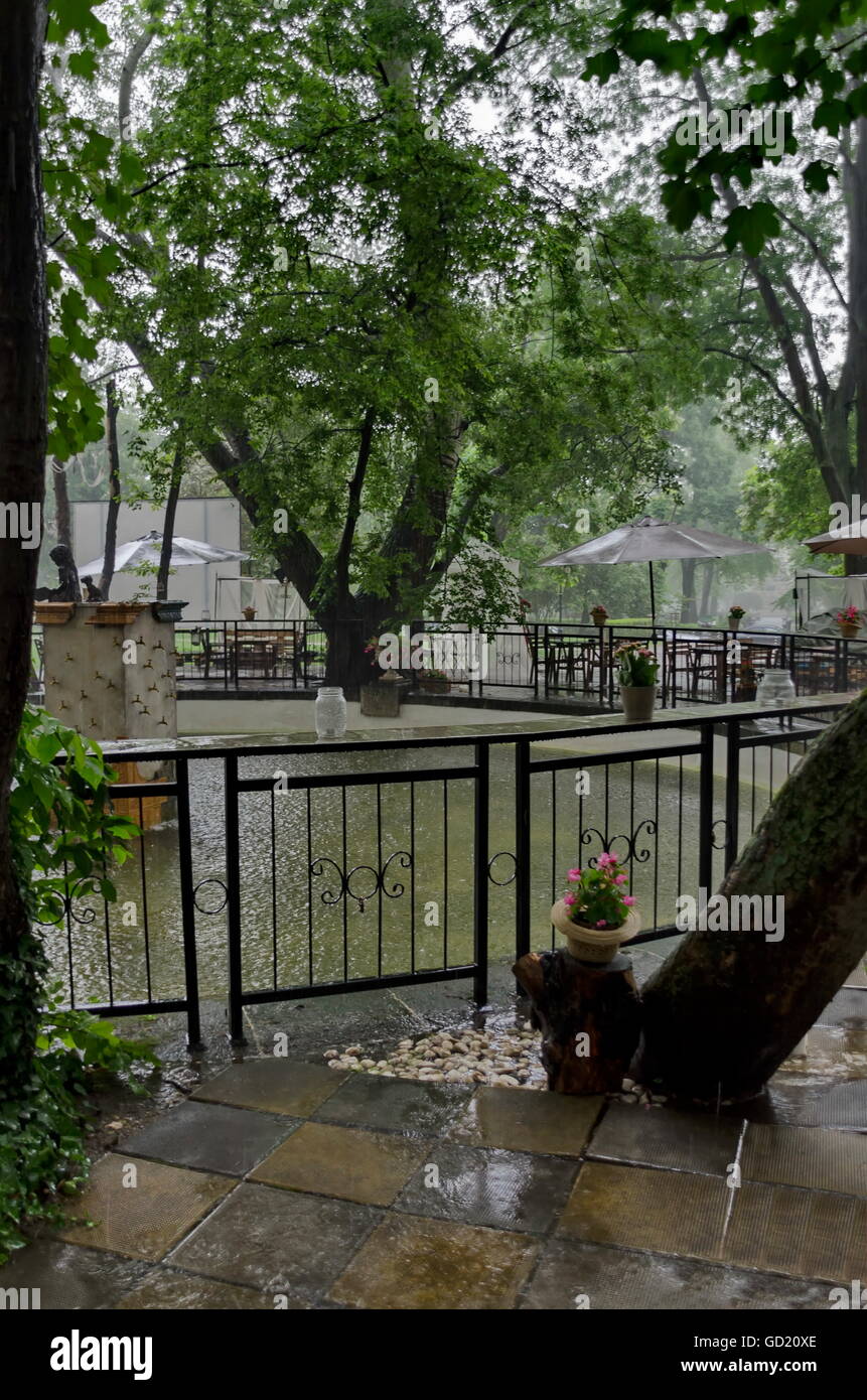Heavy rain in the rainforest at park public, Sofia, Bulgaria Stock ...