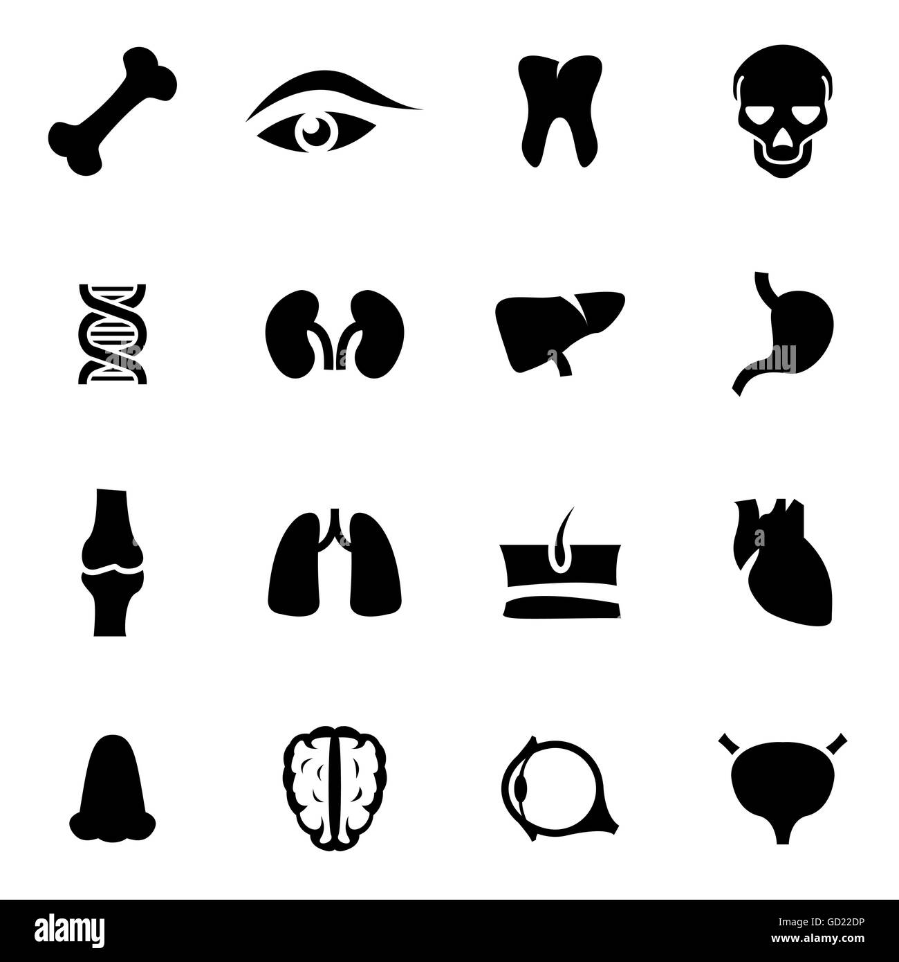 Vector black anatomy icon set Stock Vector Image & Art - Alamy