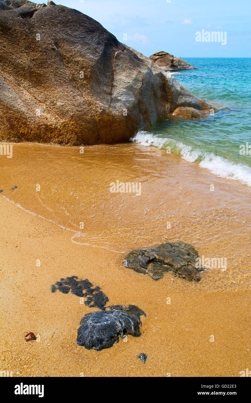 kho samui bay asia isle white beach tree rocks in thailand and south ...